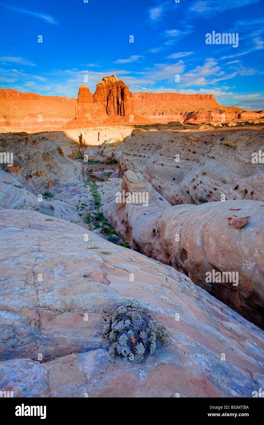 Dirty Devil River Canyon, Vertical, Glen Canyon National Recreation ...