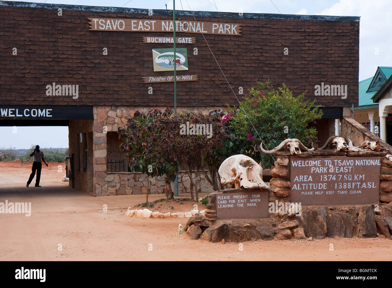 Tsavo lion skull hi-res stock photography and images - Alamy