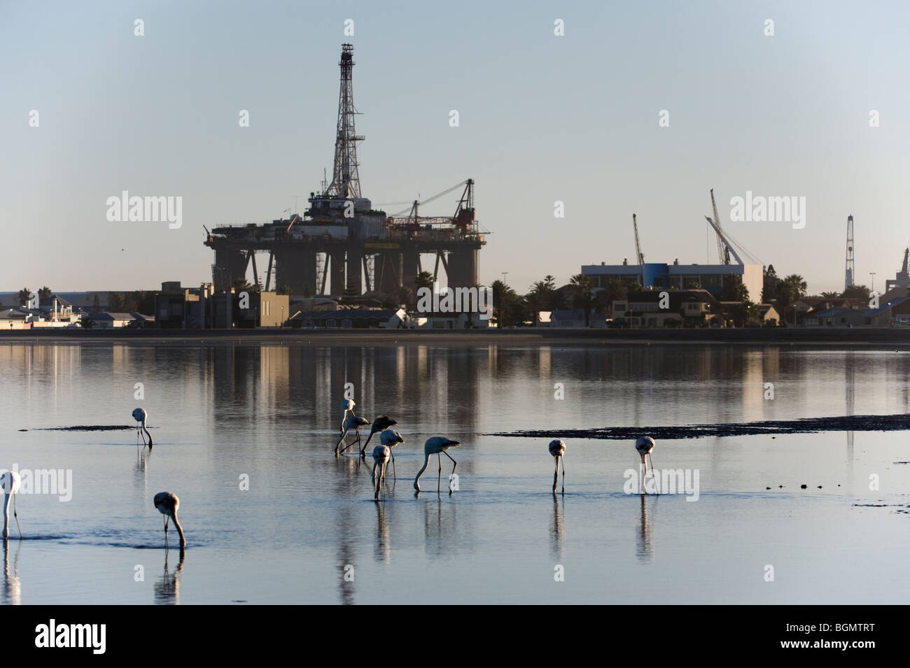 Oil rig sea birds hi-res stock photography and images - Alamy