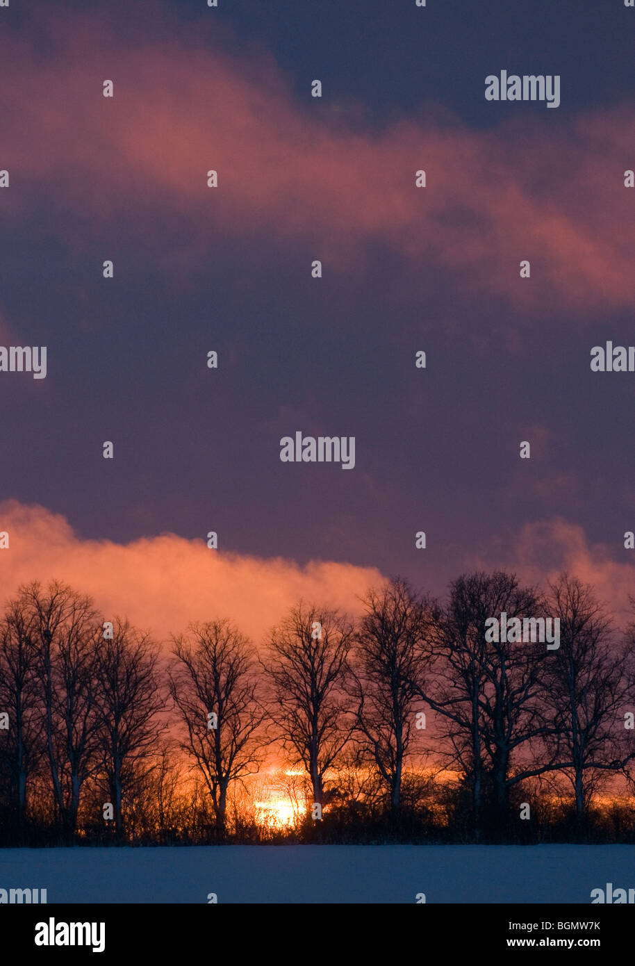 Snow sunset trees hi-res stock photography and images - Alamy