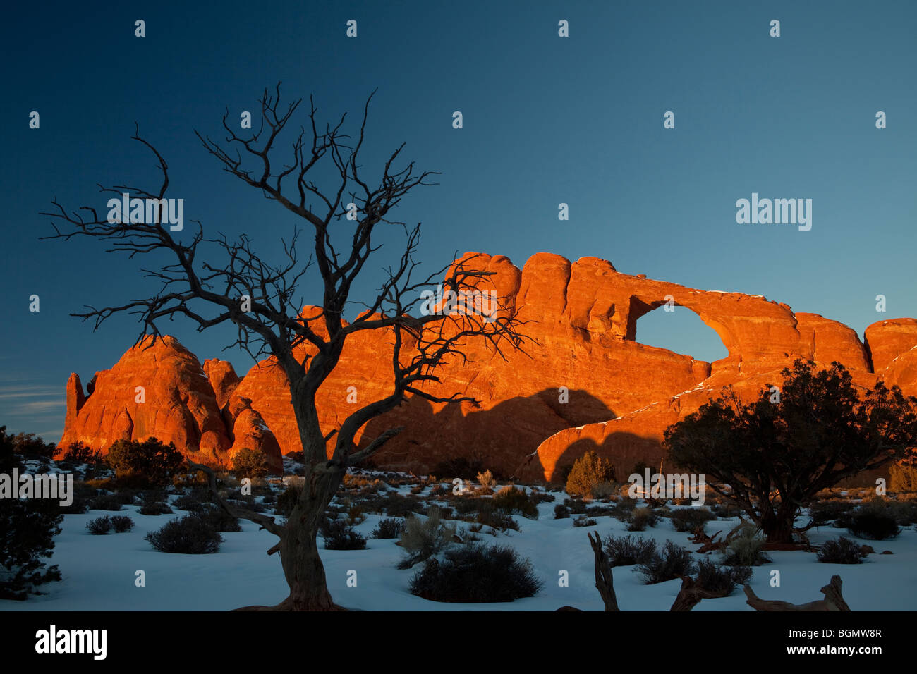 Skyline Arch Arch with Dead Tree, Arches National Park, USA Stock Photo ...
