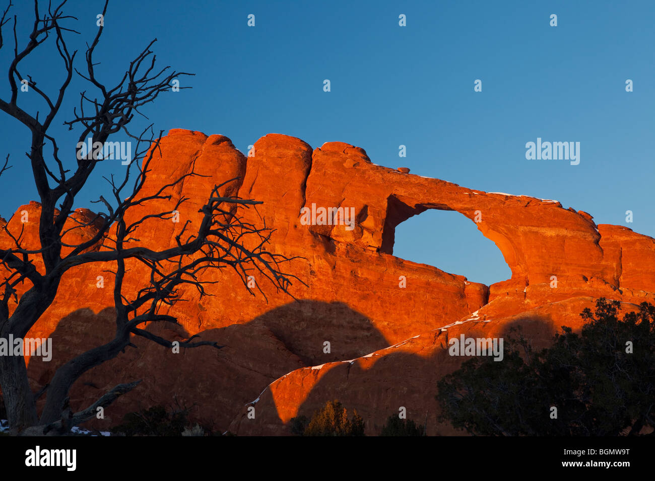 Skyline Arch Arch with Dead Tree, Arches National Park, USA Stock Photo ...