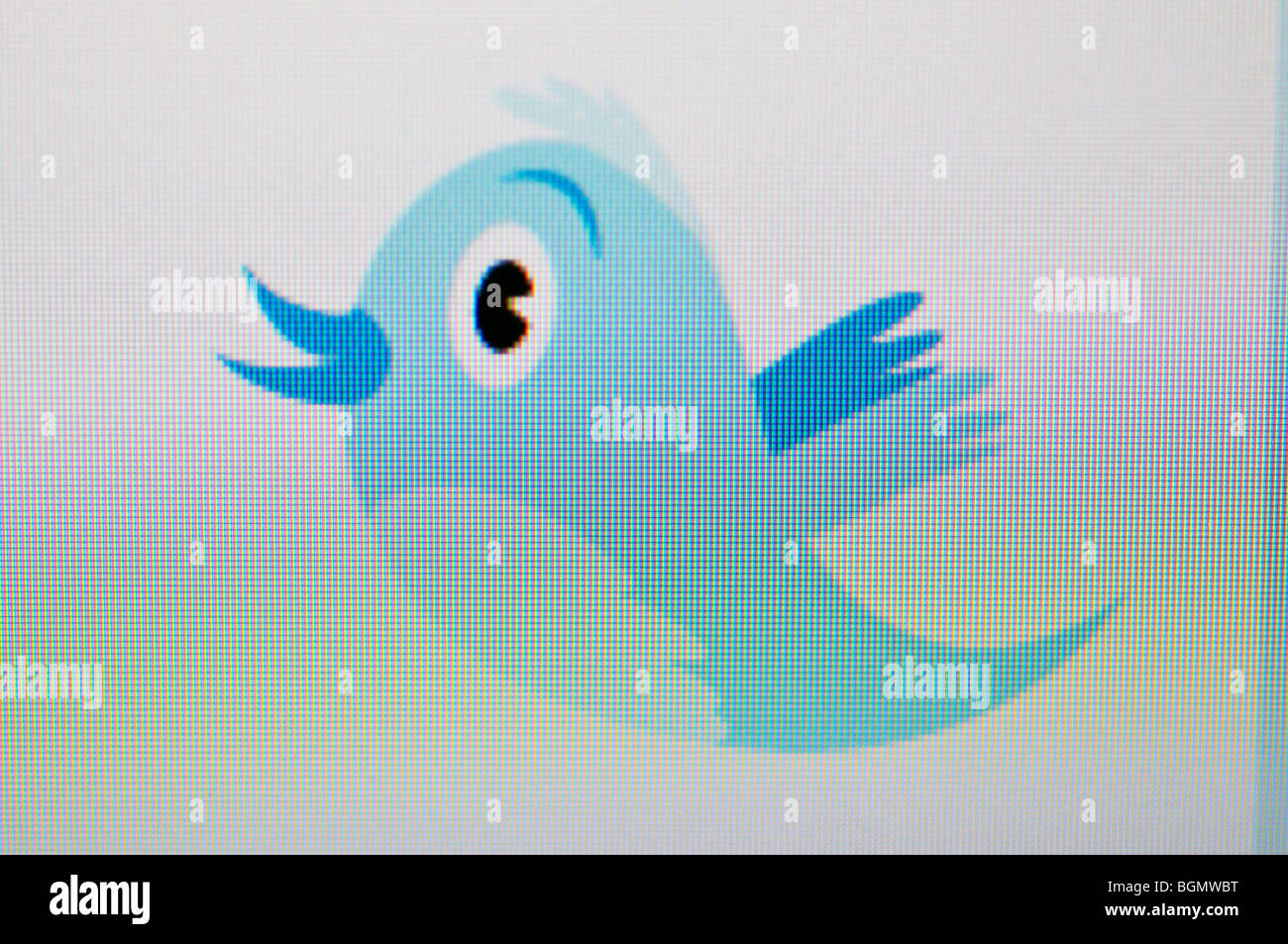 Twitter blue bird logo Stock Photo - Alamy
