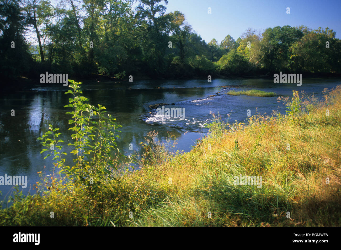Remnants of a rock fish weir on the Etowah River near the village site ...