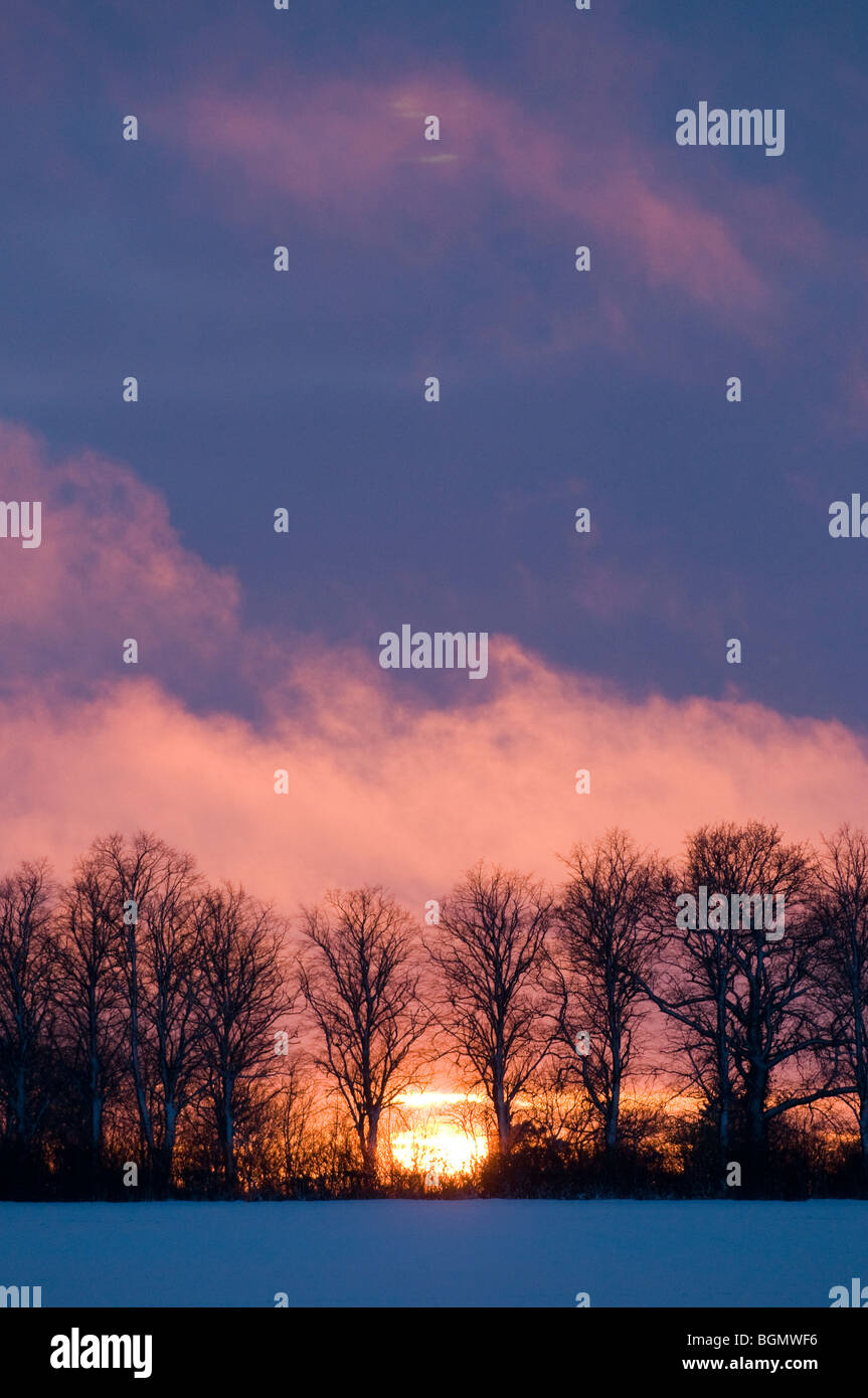 Snow sunset trees hi-res stock photography and images - Alamy