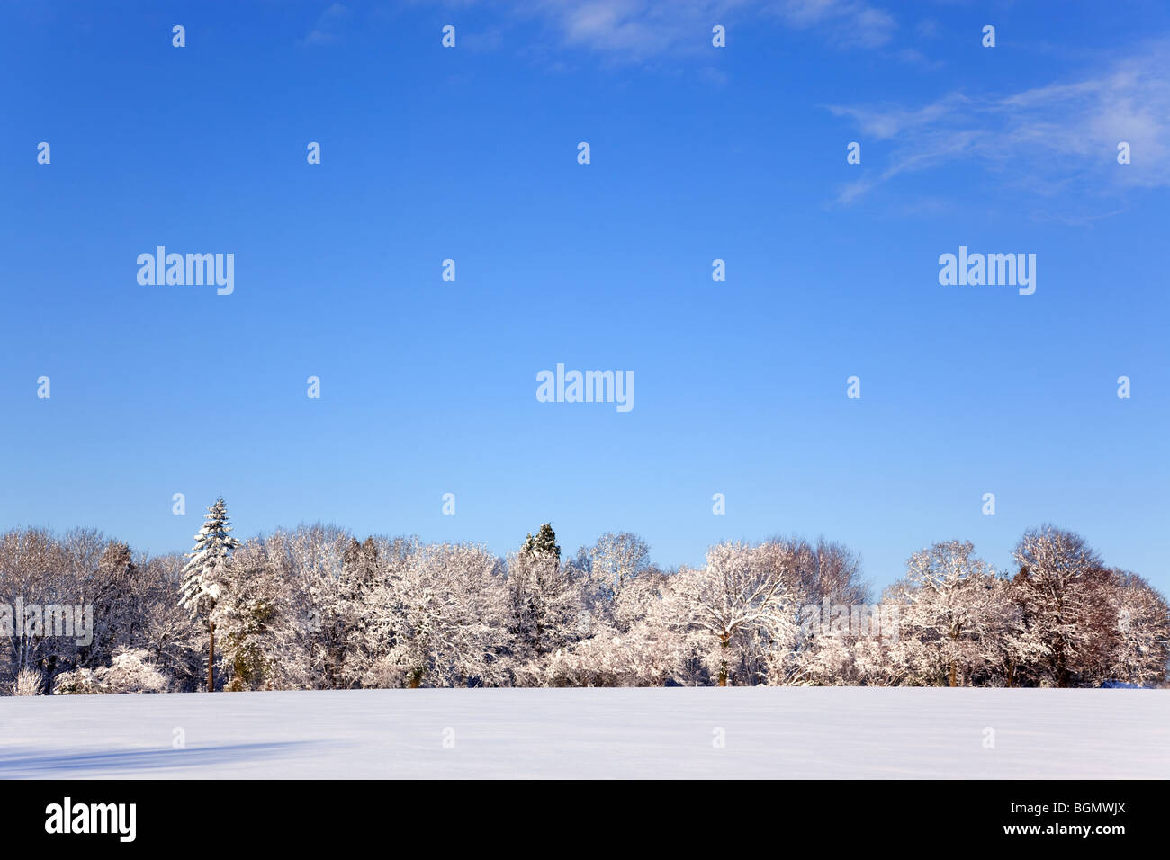 Winter snow field trees hi-res stock photography and images - Alamy