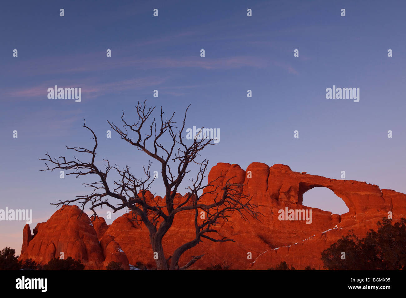 Skyline Arch Arch with Dead Tree, Arches National Park, USA Stock Photo ...
