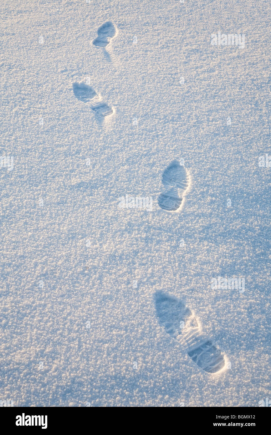 Shoe prints white background hi-res stock photography and images - Alamy