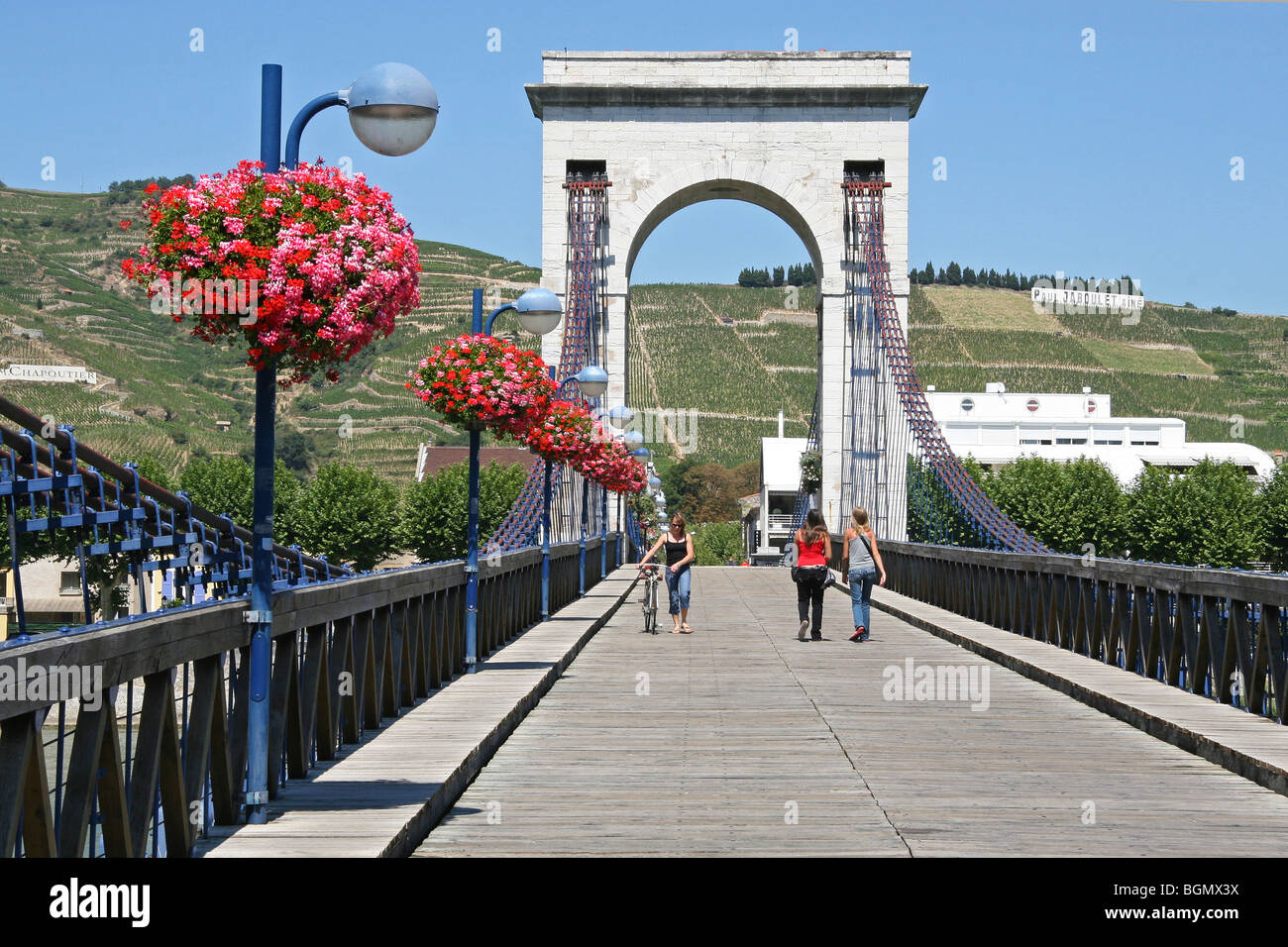 Vineyards and bridge over the river Rhone at Tournon, a wine region in ...