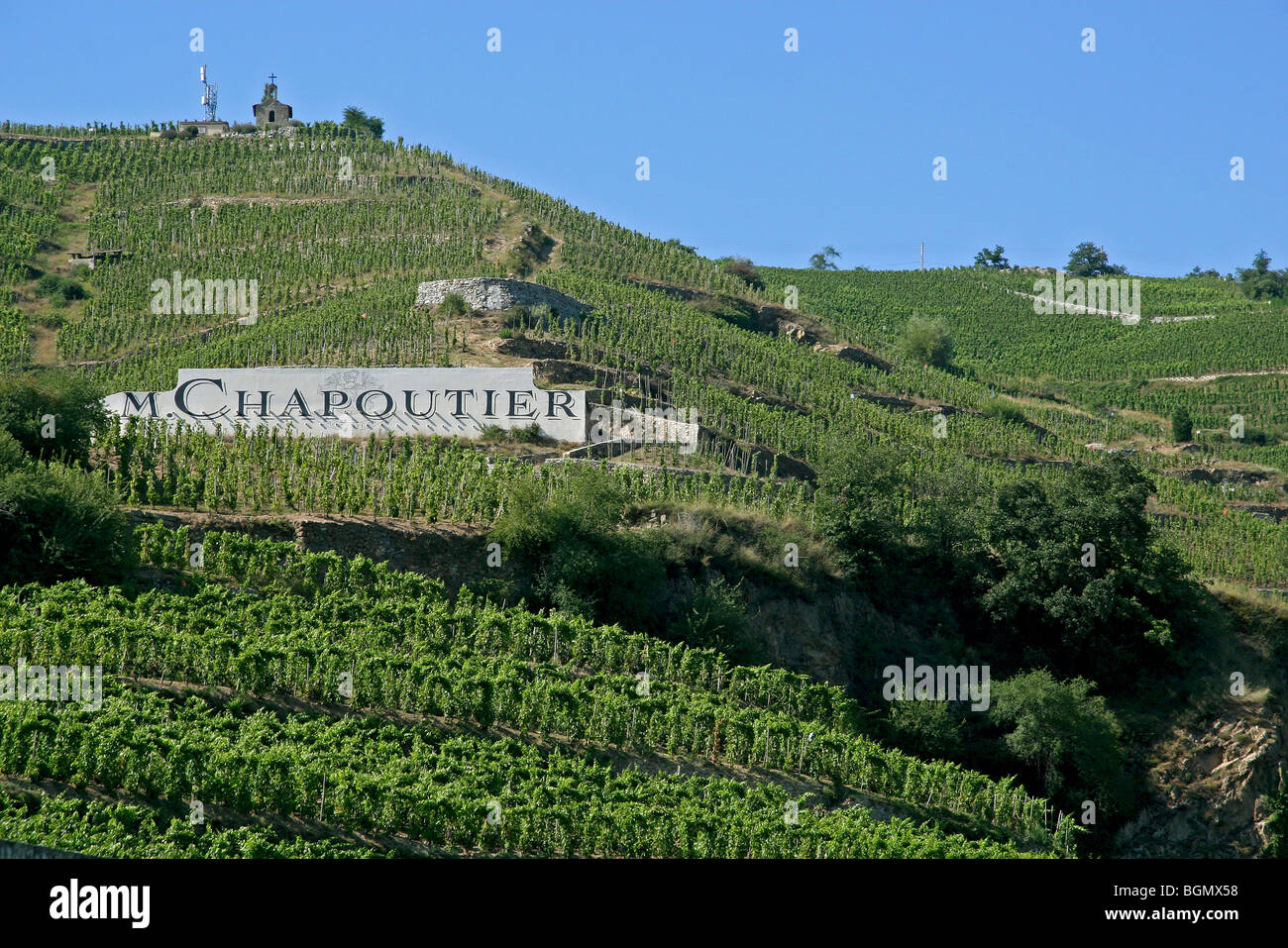 Vineyards along the river Rhone at Tournon, a wine region in the ...