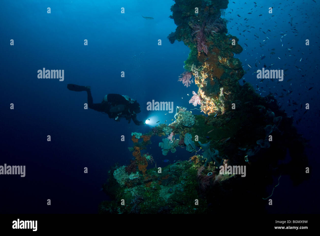 A scuba diver casts light on the mast of the Hoki Maru in Truk Lagoon ...