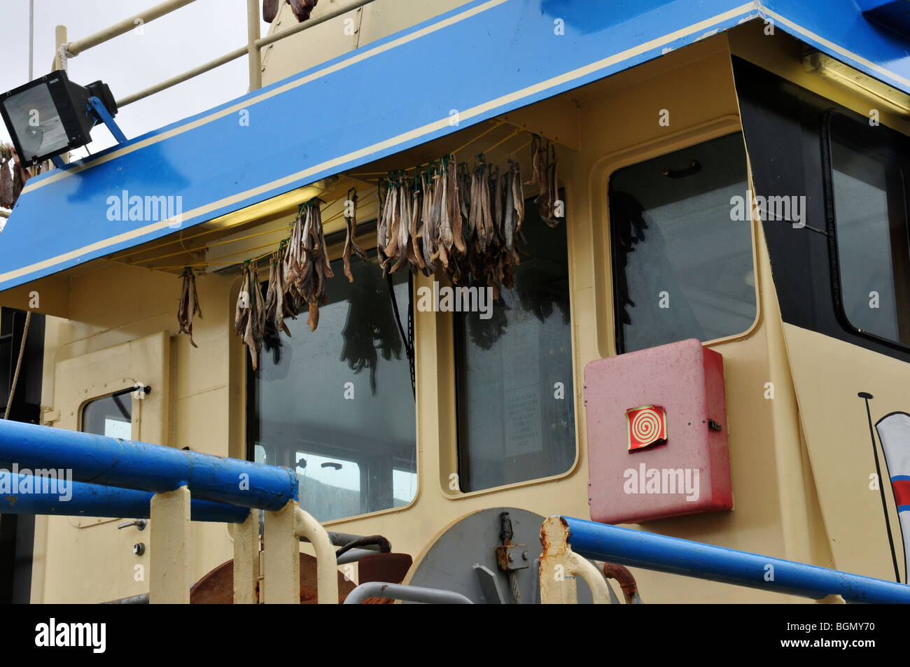 A row of herring drying on a fishing boat on the Faroe Islands Stock ...