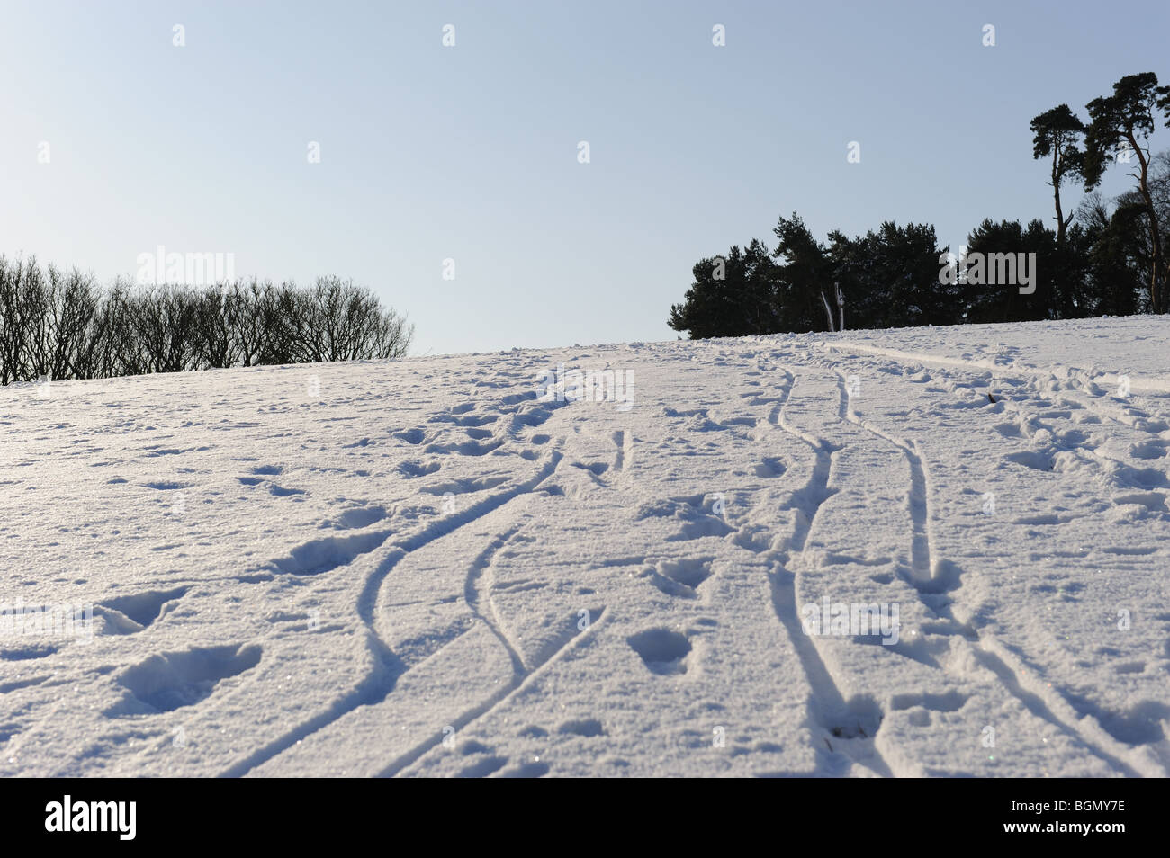 Snow landscape scenic field winter Christmas countryside scene sledging ...