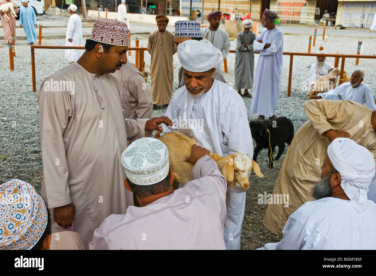 The goat market Nizwa Sultanate of Oman Stock Photo - Alamy