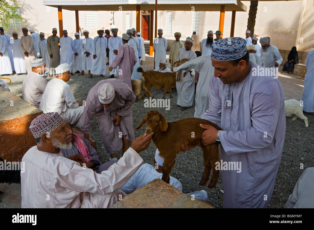 The goat market Nizwa Sultanate of Oman Stock Photo - Alamy
