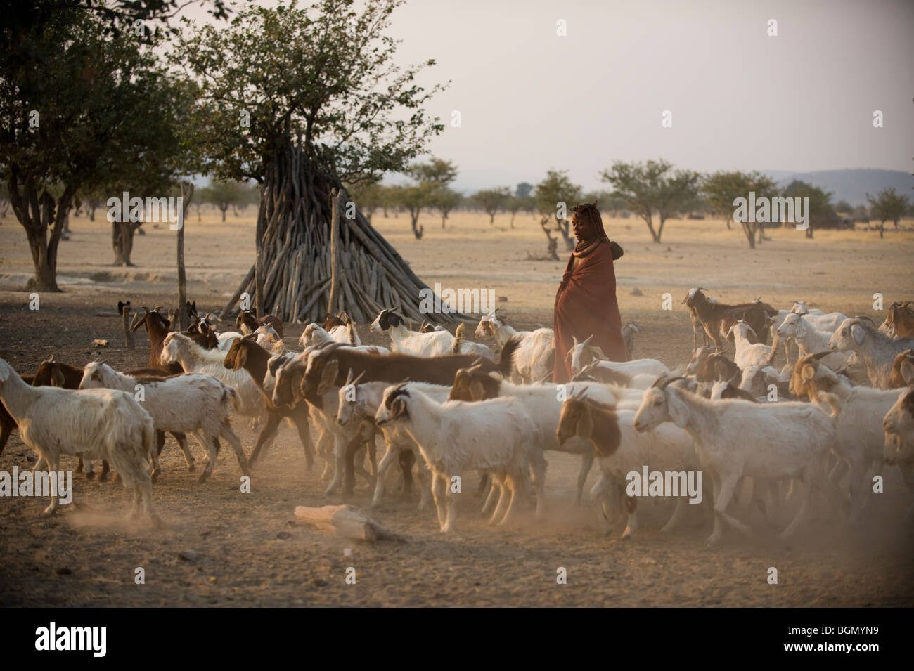 Woman himba tribe northern namibia hi-res stock photography and images ...