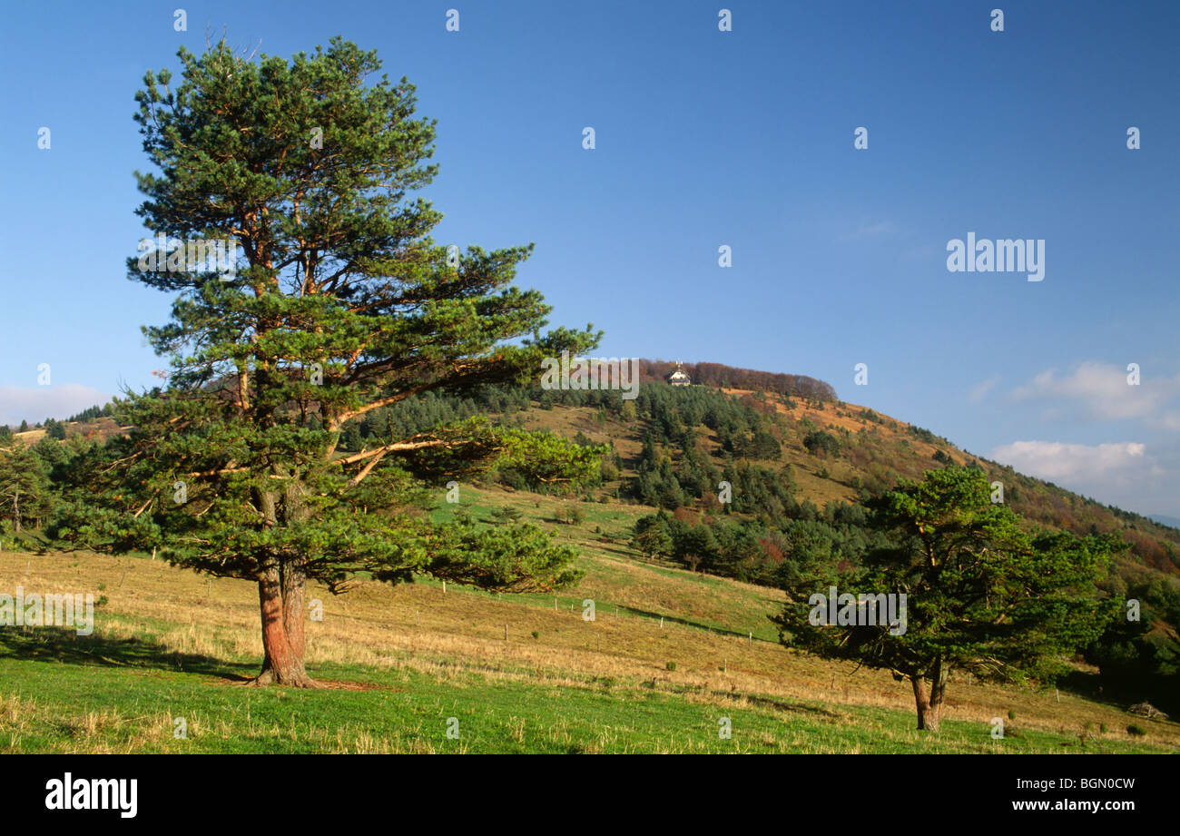 Veliki Slivnica hill, near Cerknica, Notranjska, Slovenia Stock Photo ...