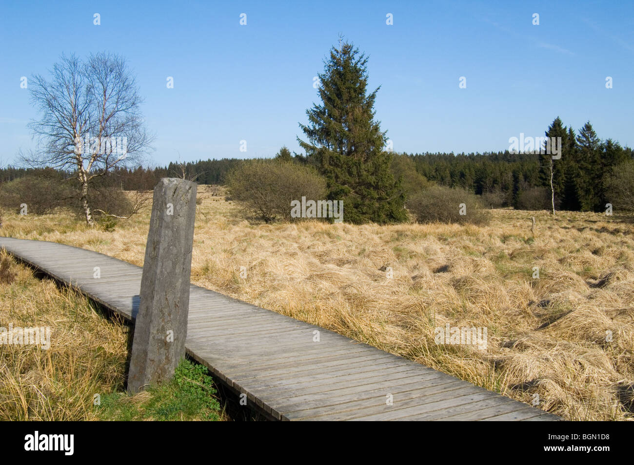 Old border post next to boardwalk in the moors of the Hautes Fagnes ...