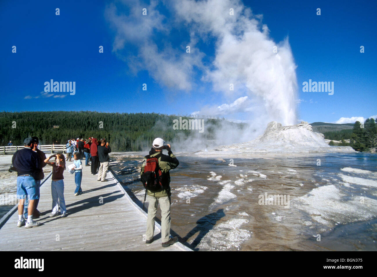 Tourists at the Castle geyser, Yellowstone National Park, Wyoming, USA ...