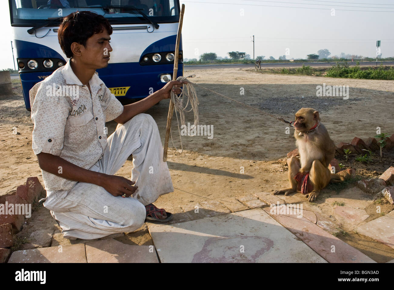 trainer with a monkey waiting to attract tourists Stock Photo - Alamy