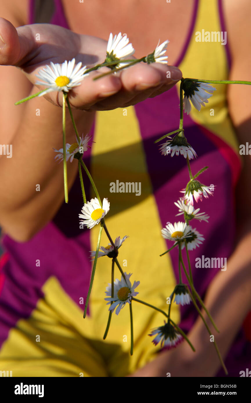 Daisy chain being made Stock Photo - Alamy