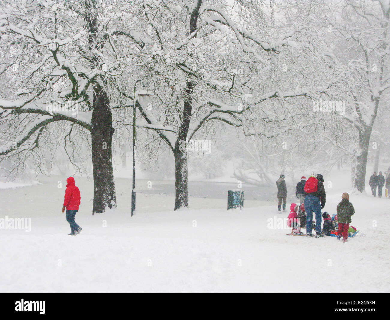 Winter in the park Stock Photo - Alamy