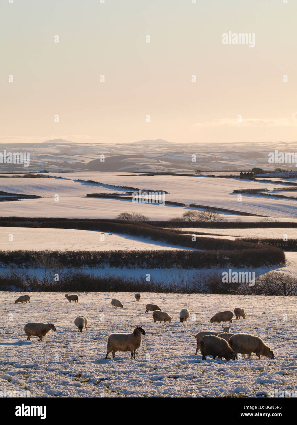 Devon cornwall border hi-res stock photography and images - Alamy