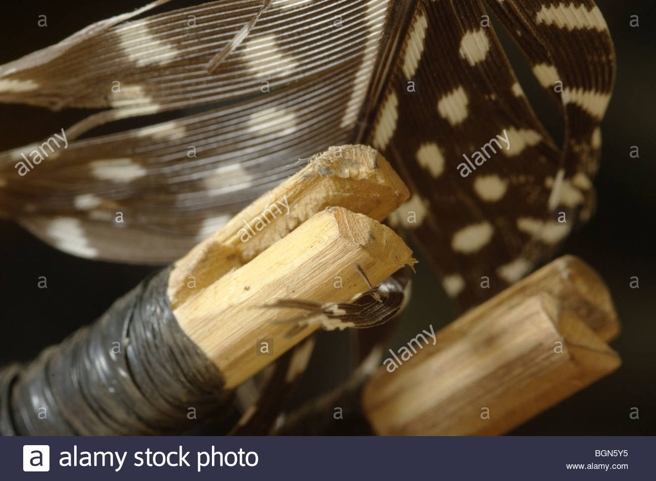 Arrow Bow Hunting Tribe Stock Photos & Arrow Bow Hunting Tribe Stock ...