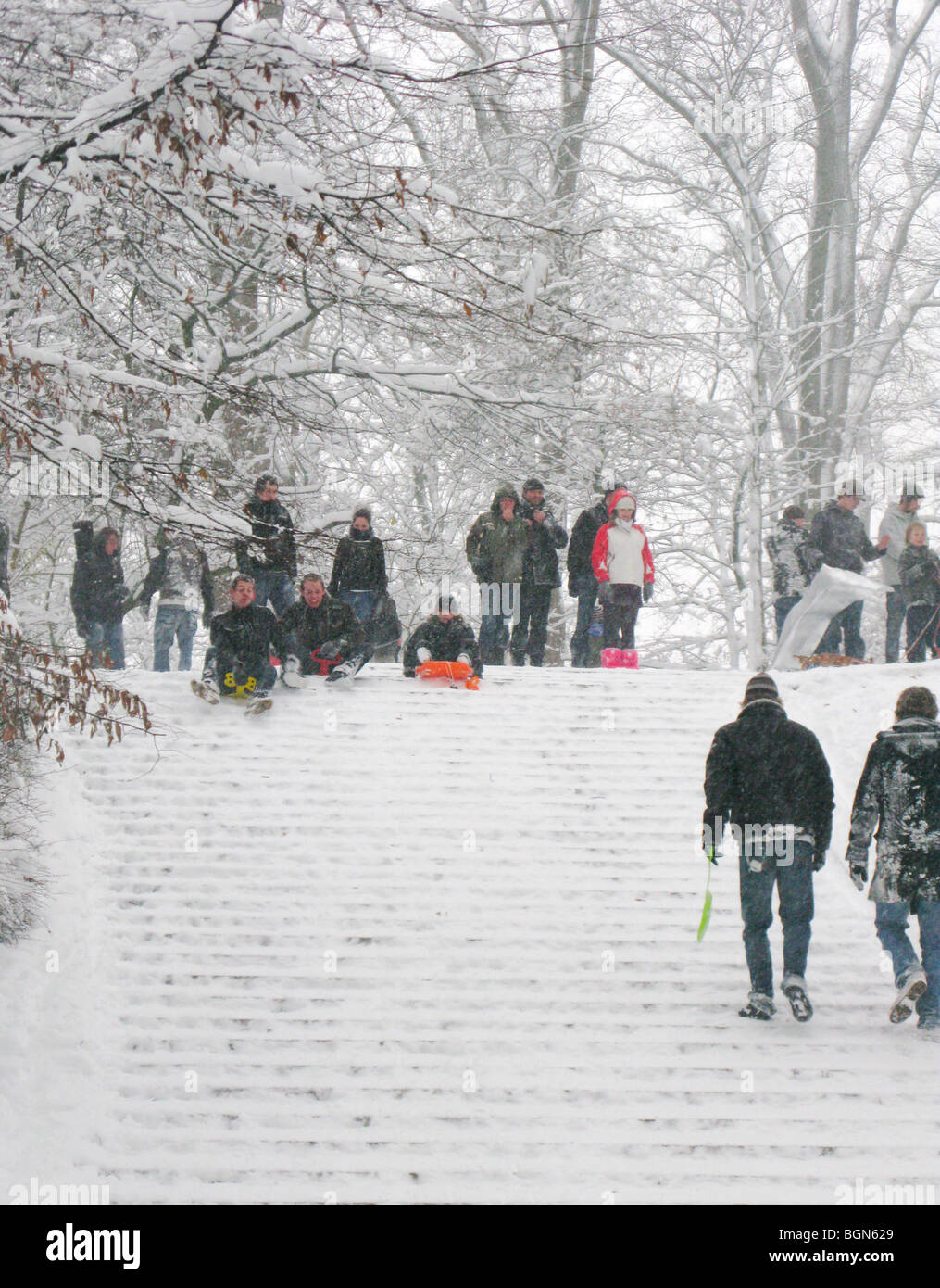People having fun on sleighs in winter snow Stock Photo - Alamy