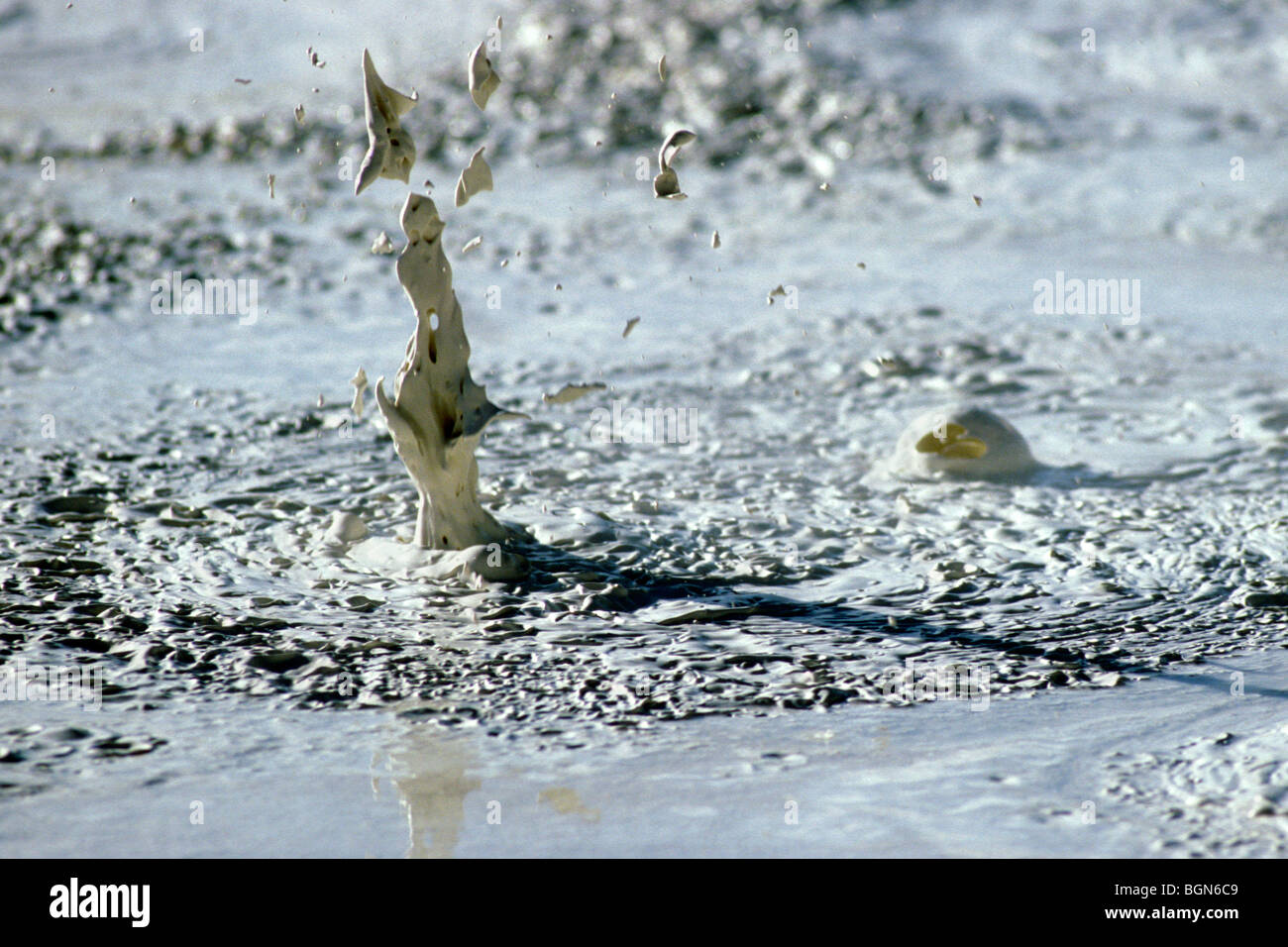 Bubbling mud at Mud Volcano, Yellowstone NP, USA Stock Photo - Alamy