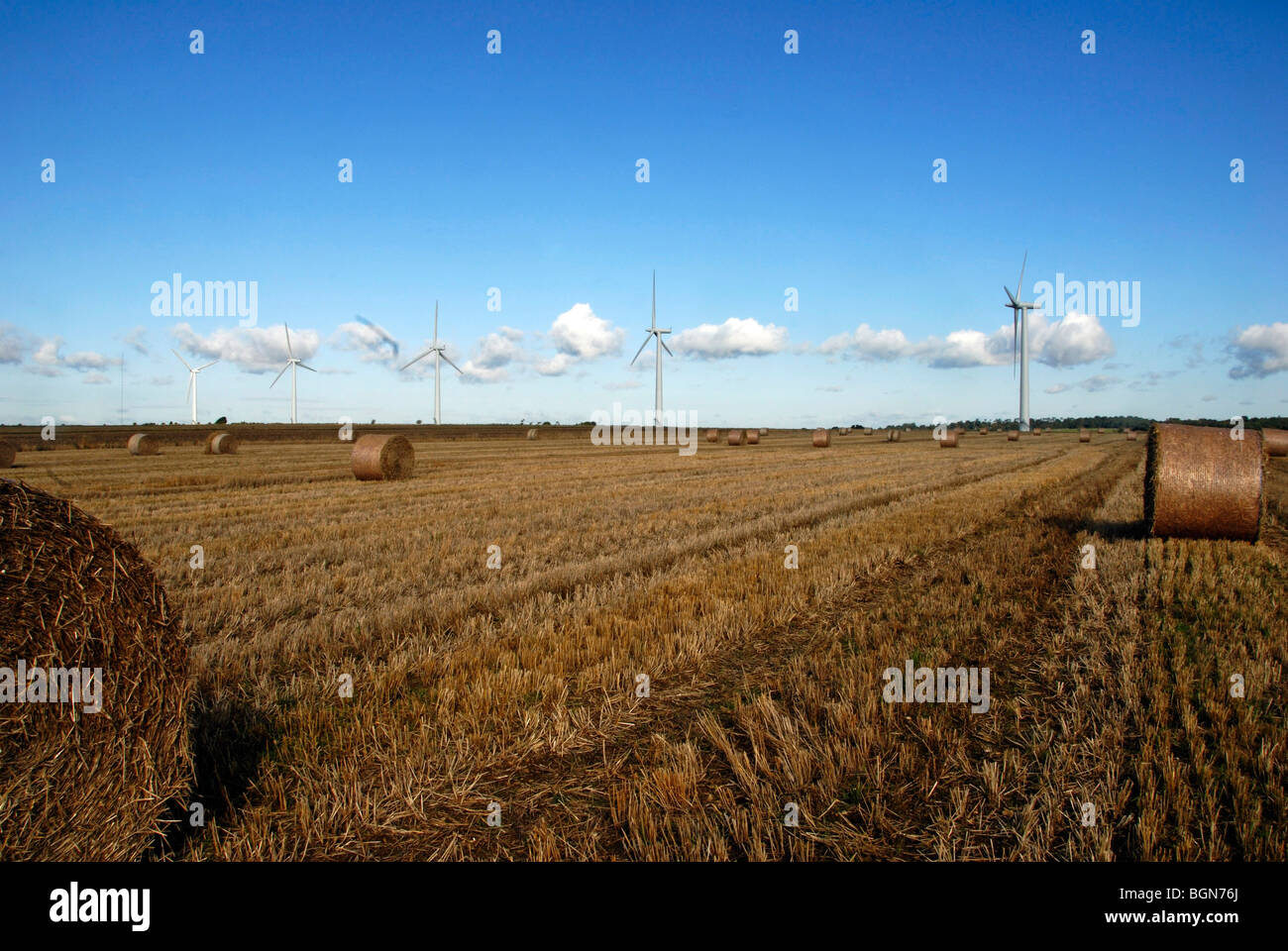 West Mill Watchfield Wiltshire UK Wind Turbines Stock Photo - Alamy