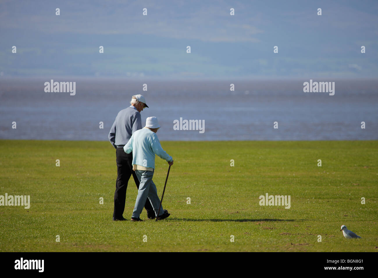 Old man walking with linked arms, with an old woman using a stick on ...