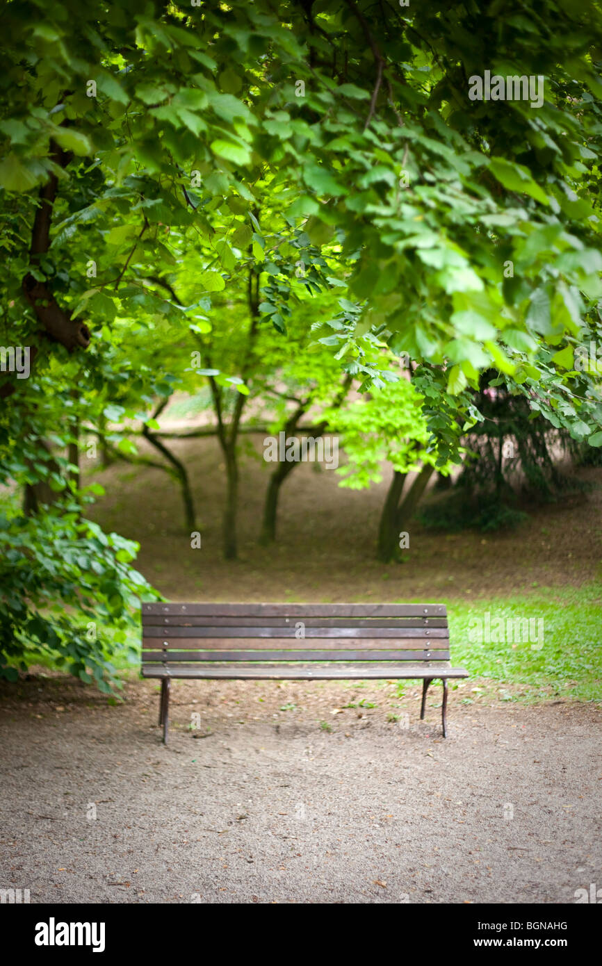 Calm park scene with bench Stock Photo - Alamy