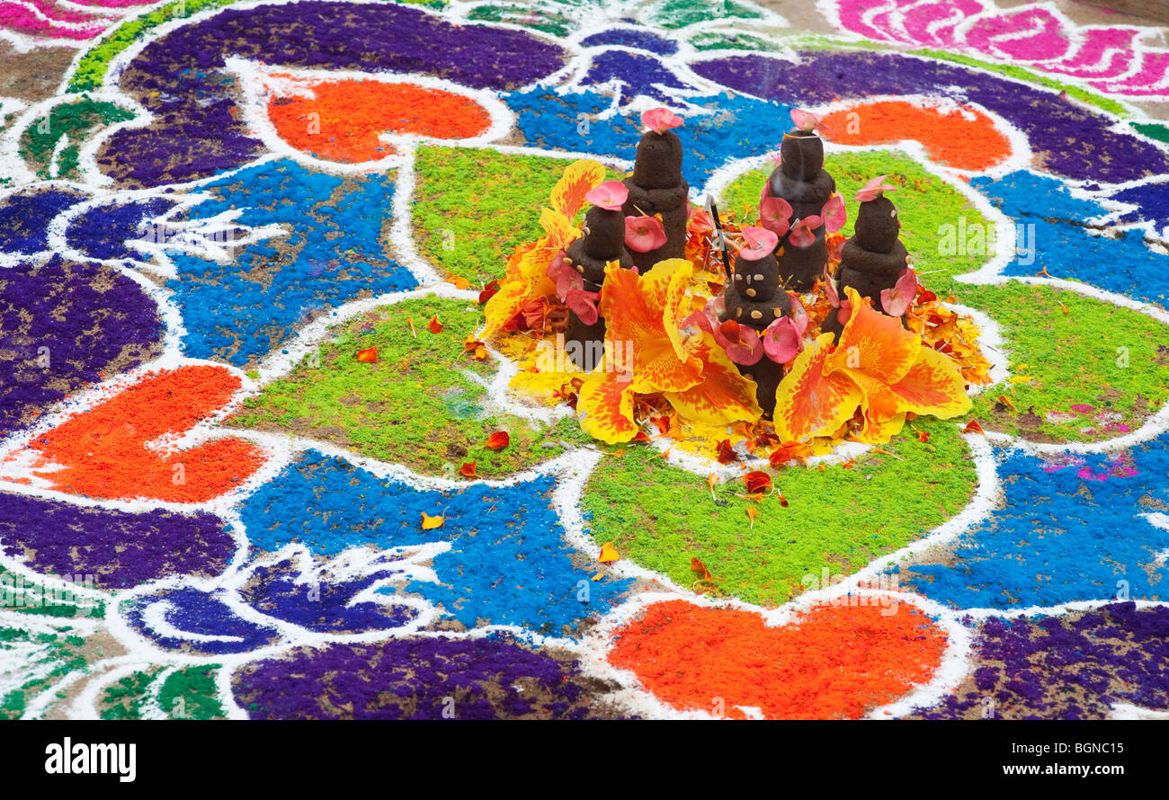 Sankranthi Rangoli Traditional