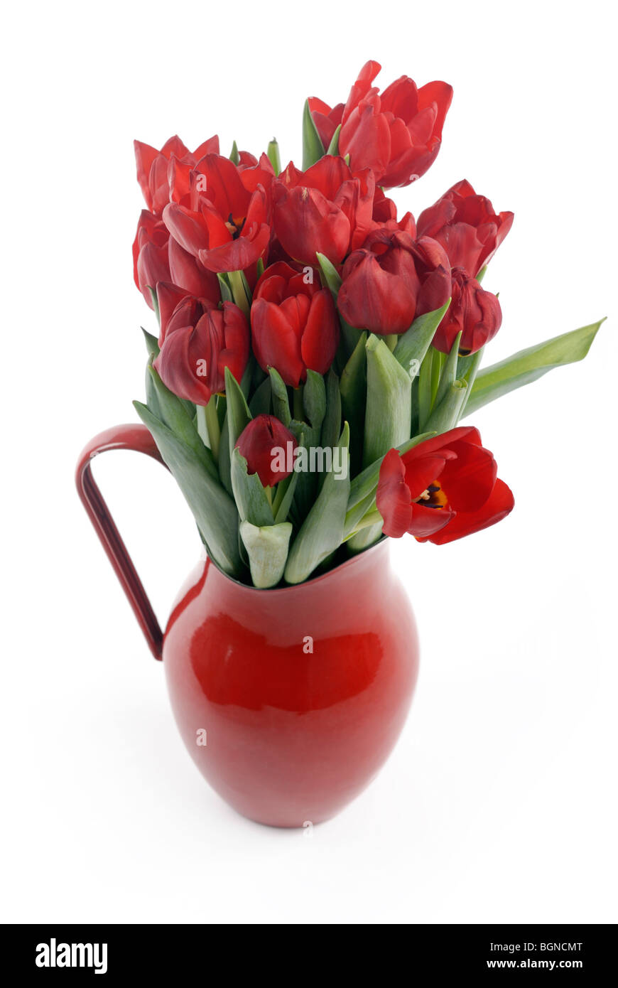 Red tulips in container Stock Photo - Alamy