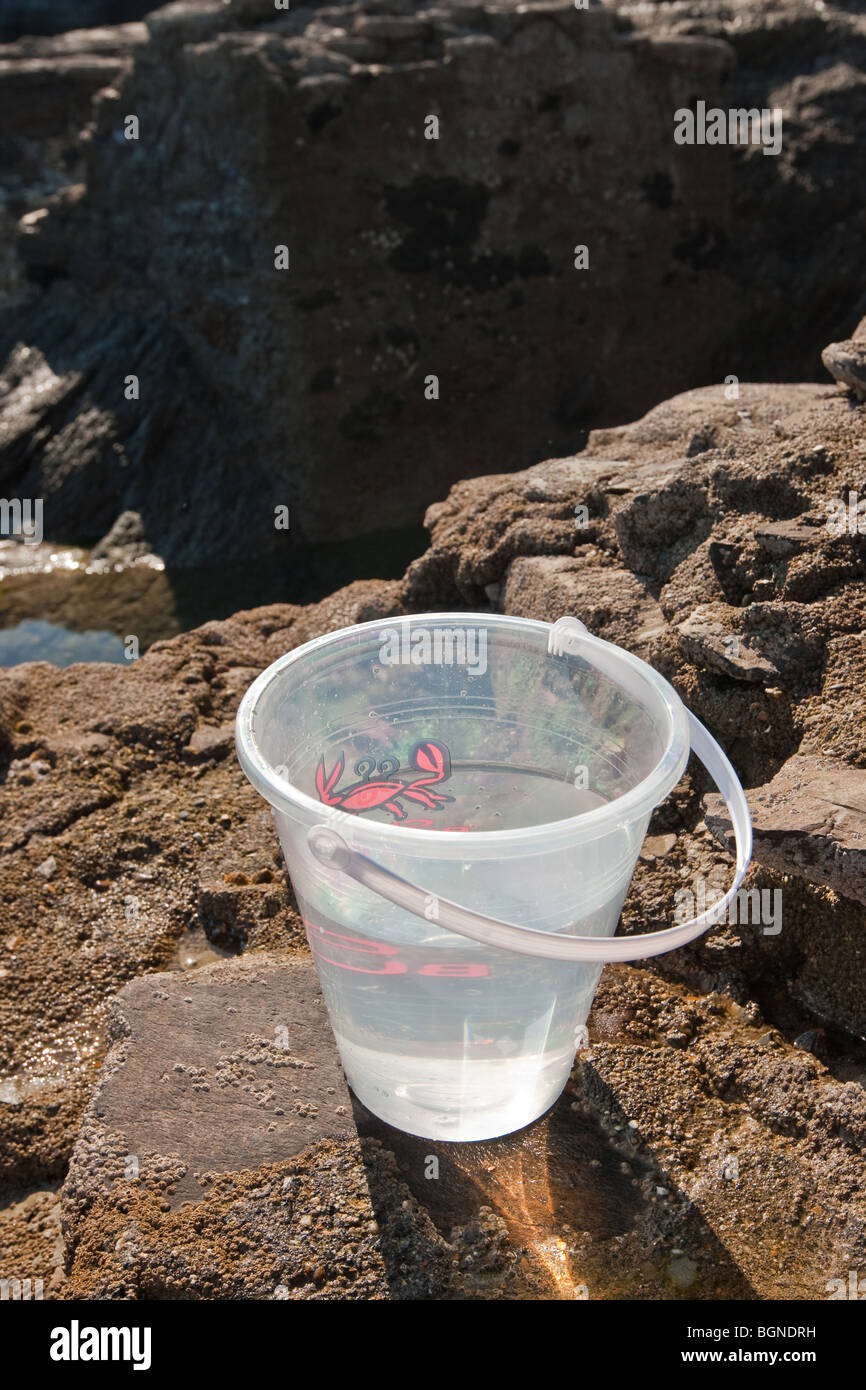 Rockpooling hi-res stock photography and images - Alamy