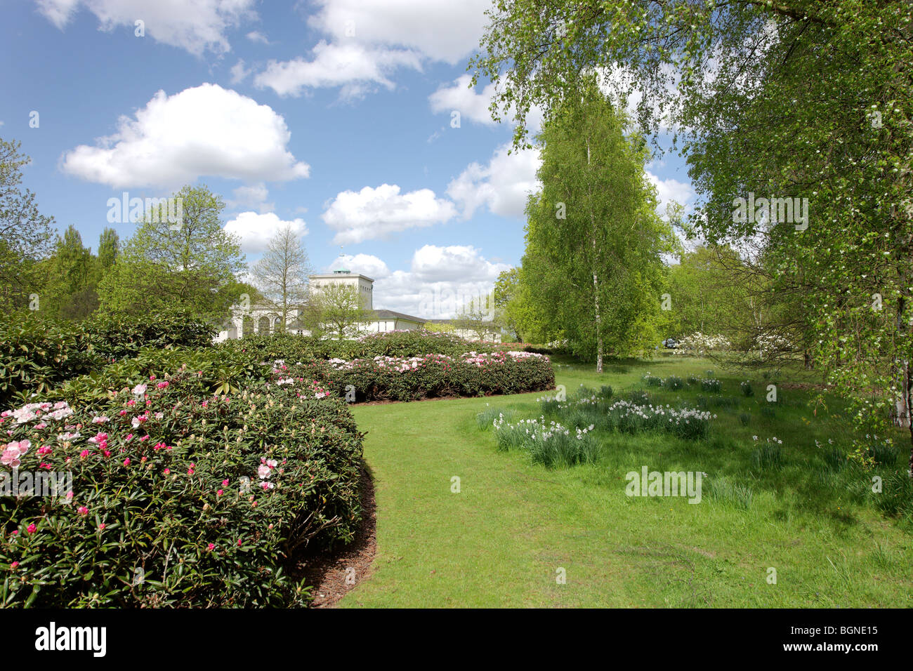 Air Forces Memorial Runnymede - Rhododendron, Daffodil & Azalea - East ...