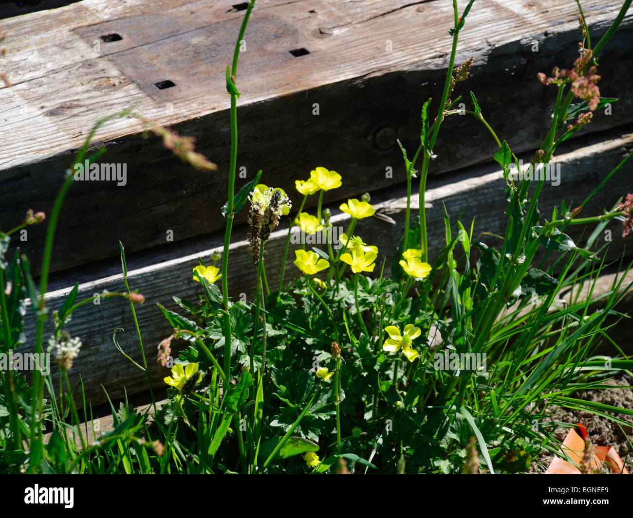 rusty metal industrial relics Stock Photo - Alamy