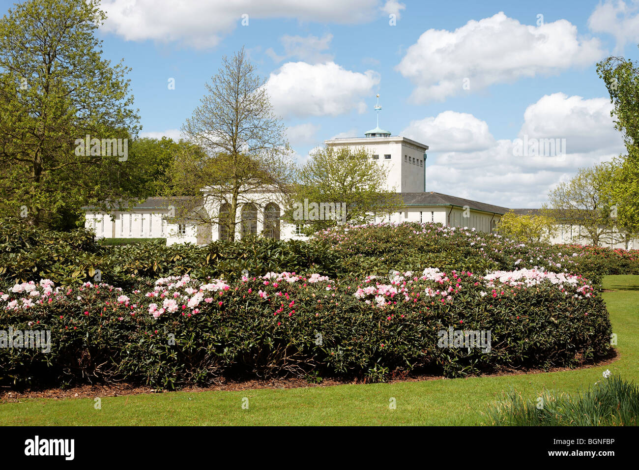 Air Forces Memorial Runnymede - Rhododendron, Daffodil & Azalea - East ...
