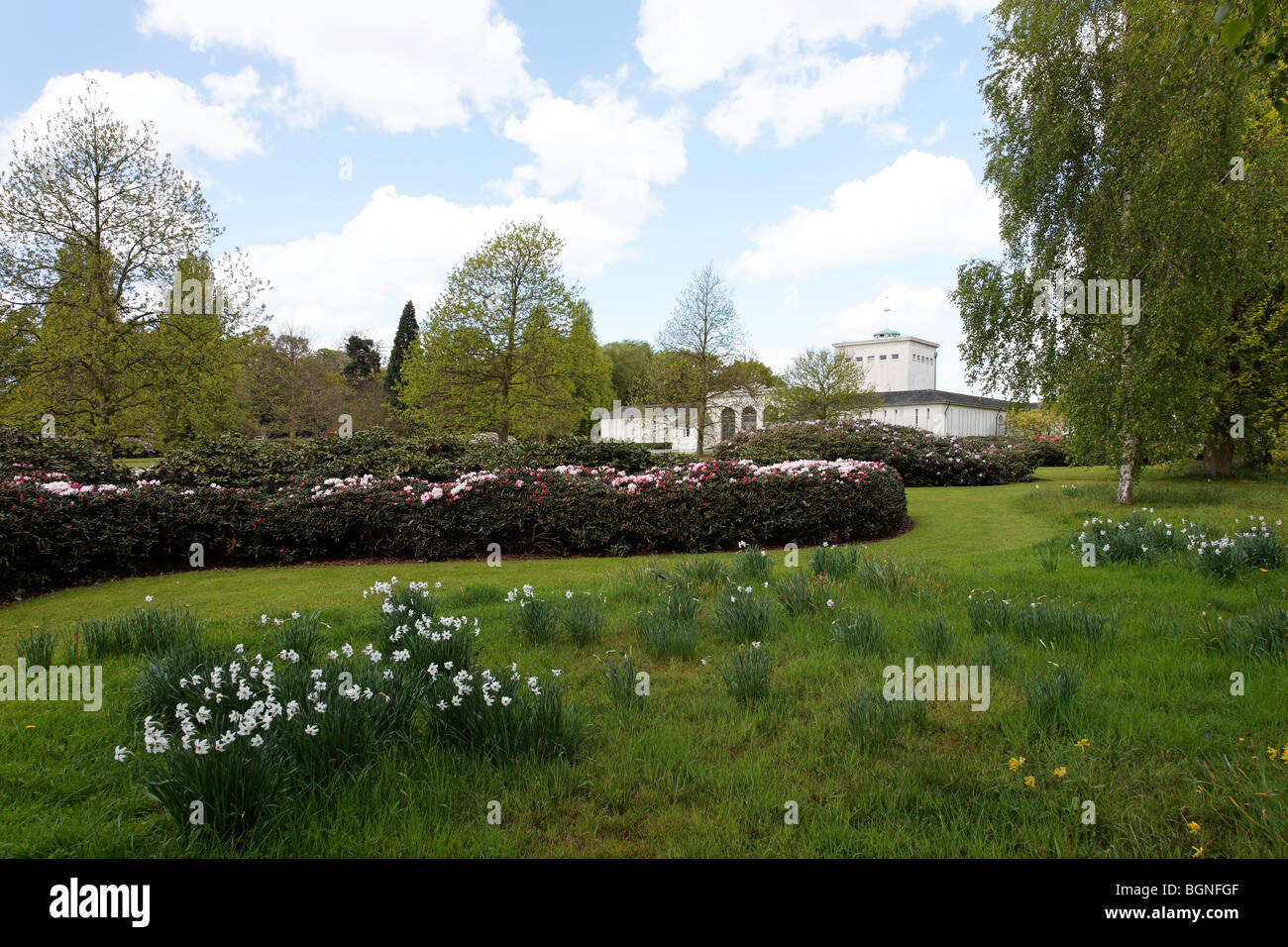 Air Forces Memorial Runnymede - Rhododendron, Daffodil & Azalea - East ...