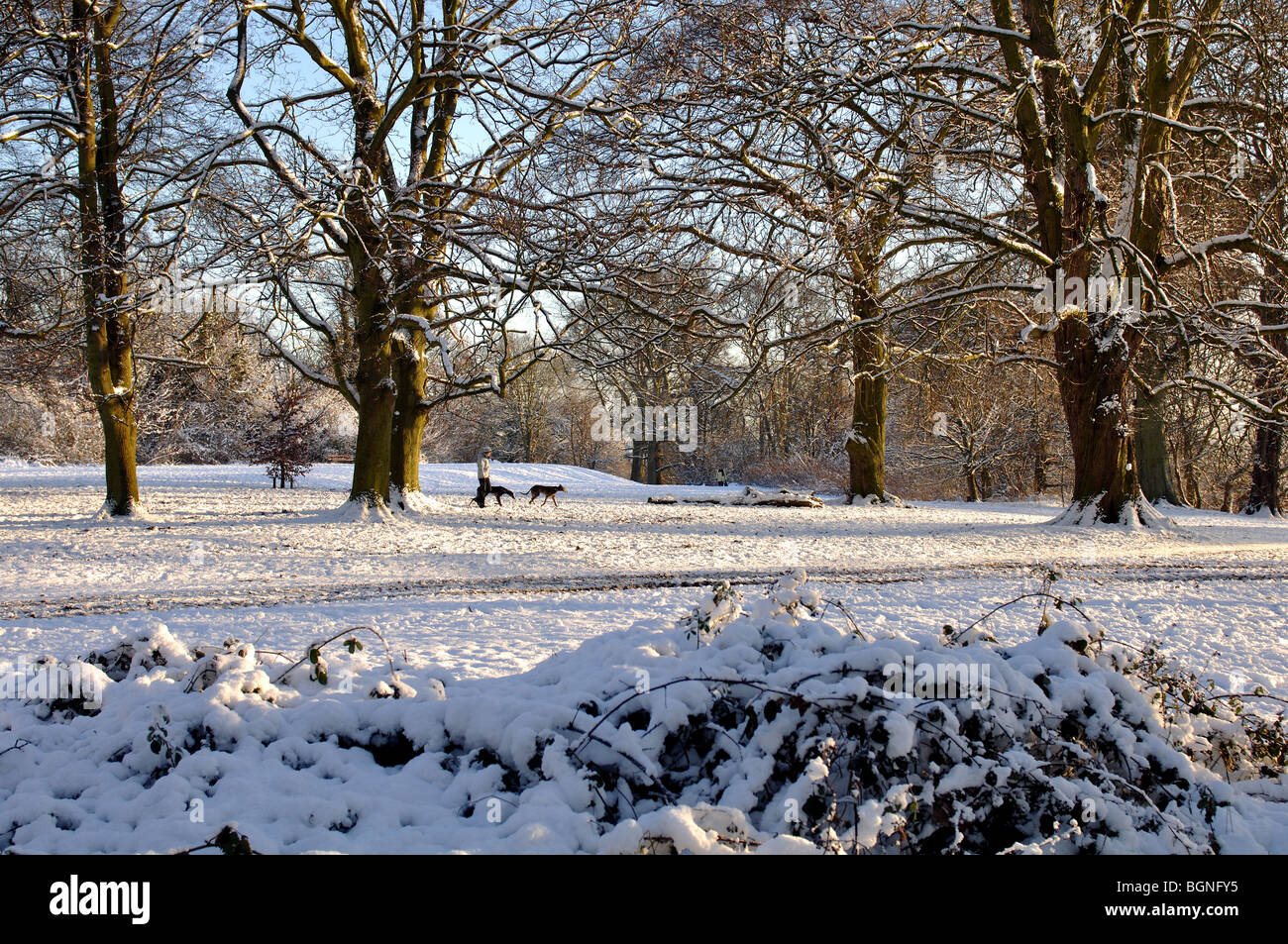 Priory Park in winter with snow, Warwick, Warwickshire, England, UK ...