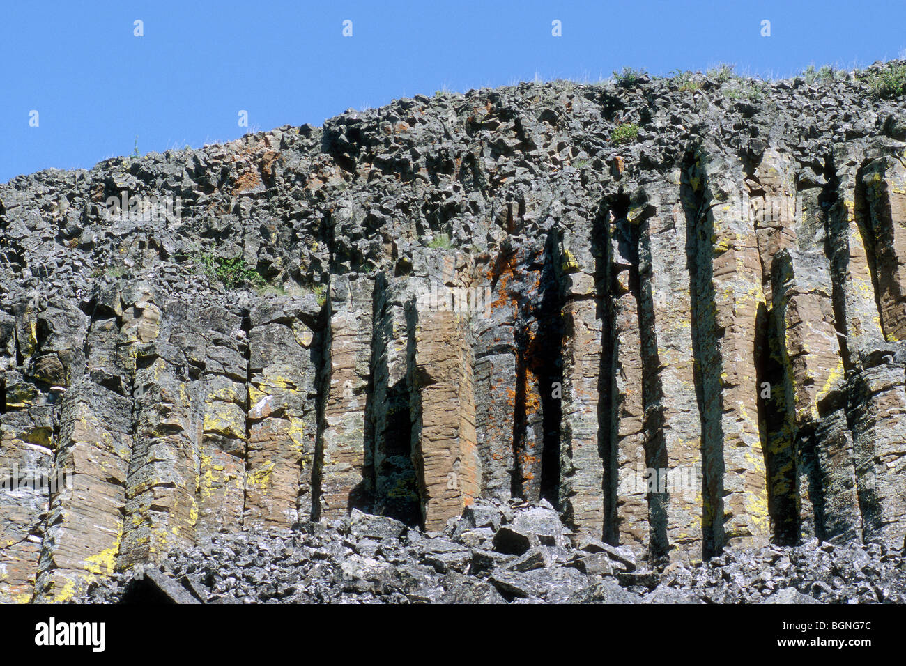 Sheepeater cliff, a basalt rock formation in the Yellowstone NP ...