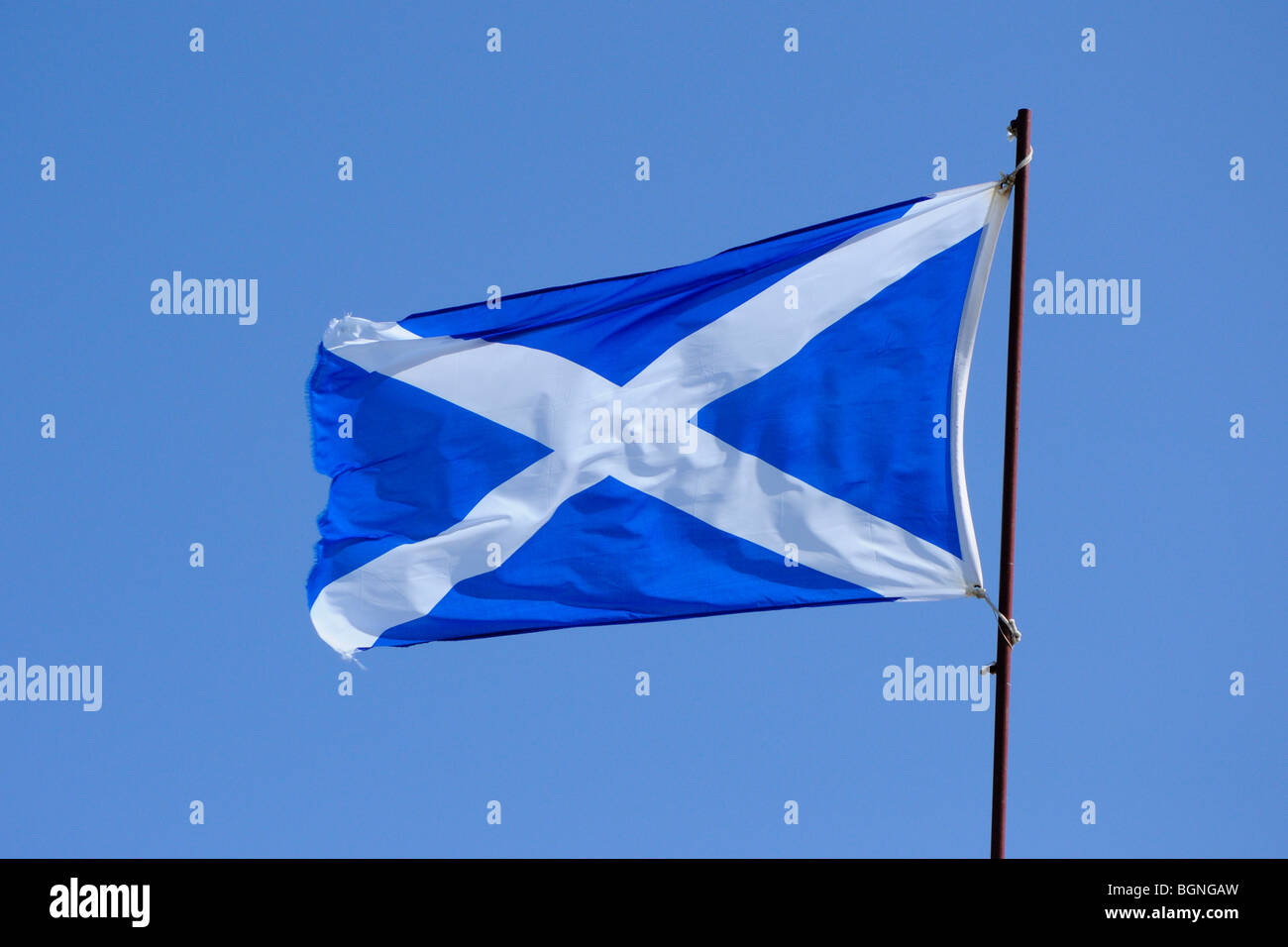Saltire scottish flag white st hi-res stock photography and images - Alamy