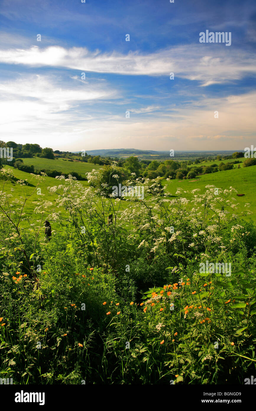 Green and Pleasant Fields Landscape Broadwell village Gloucestershire ...