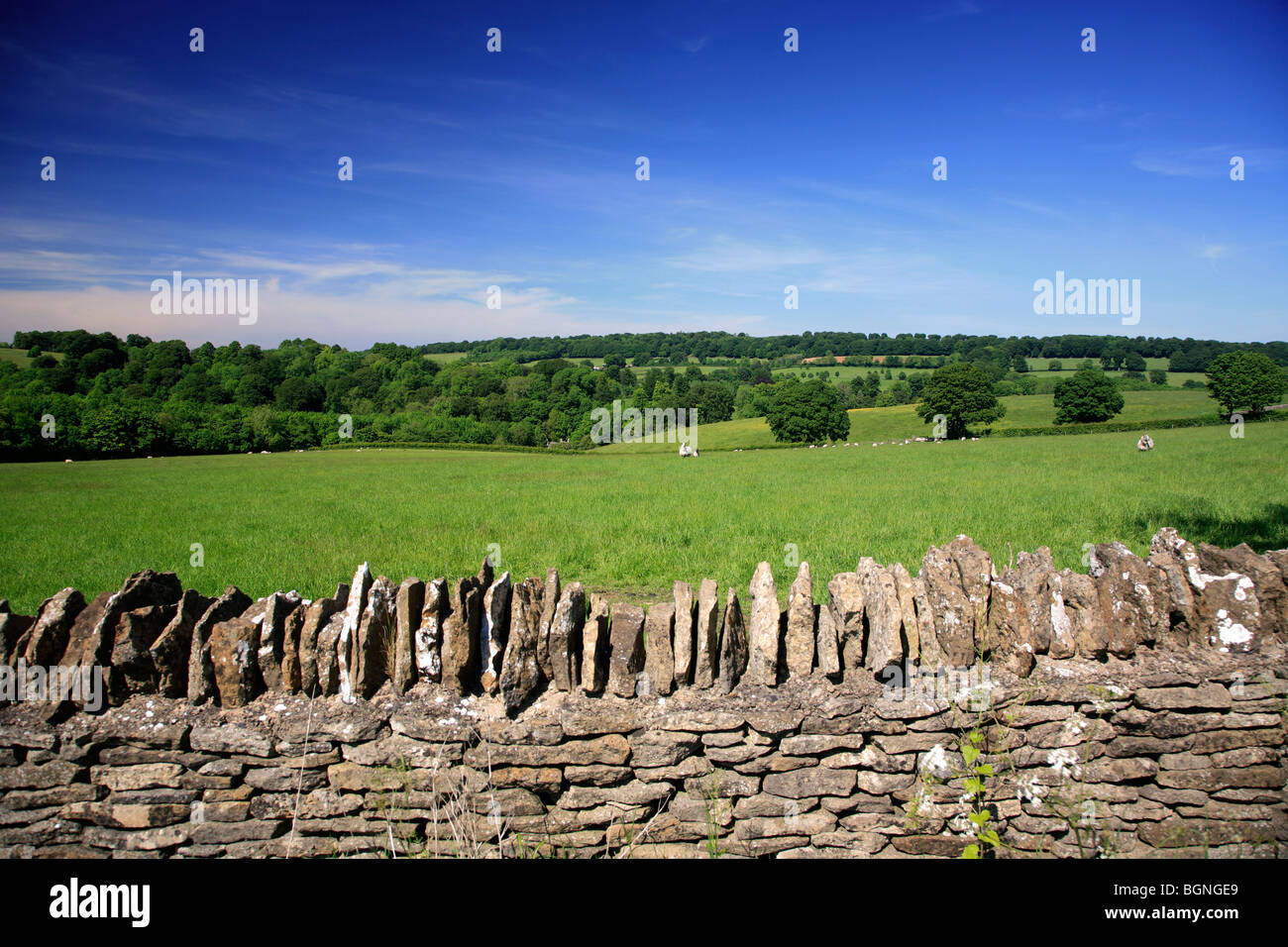 Green and Pleasant Fields Landscape Broadwell village Gloucestershire ...