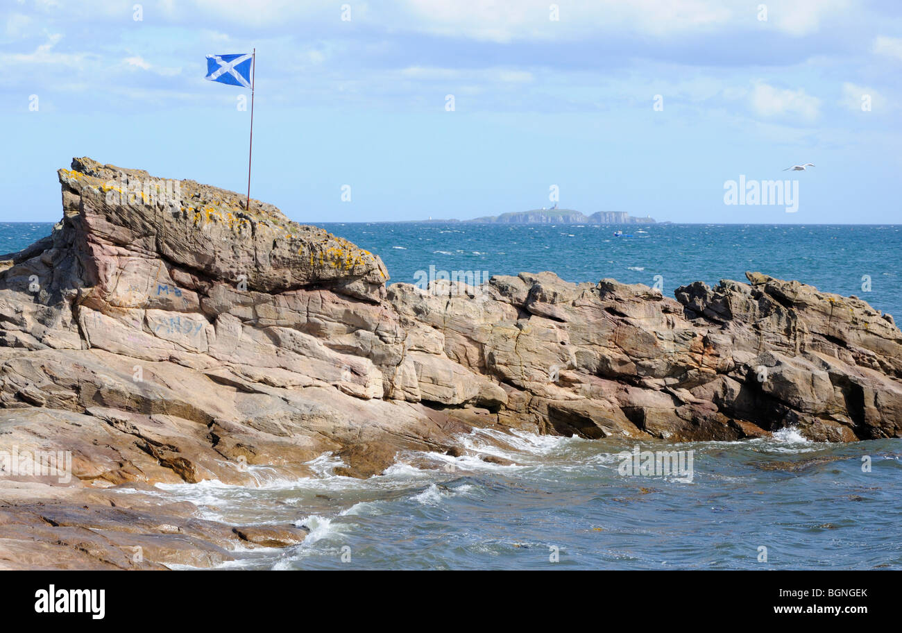 Scottish national emblem hi-res stock photography and images - Alamy