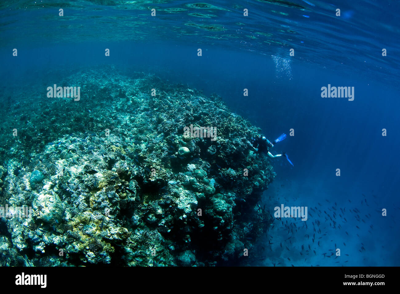 Farasan banks hi-res stock photography and images - Alamy