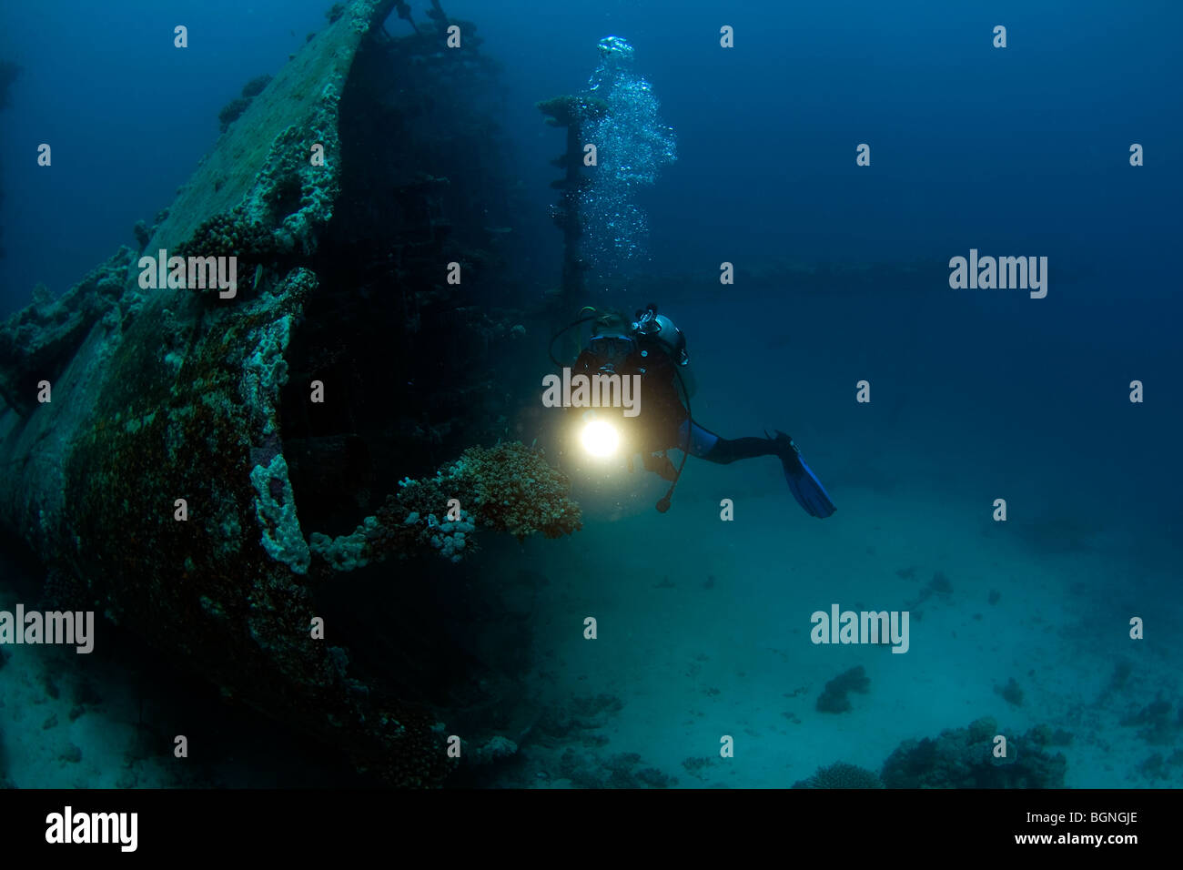 diver at a shipwreck in the red sea near the coast of Saudi arabia ...
