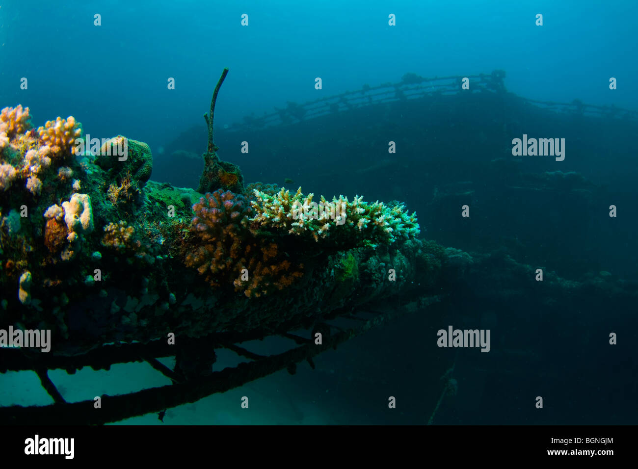 Arabian Sea Ship Wreck
