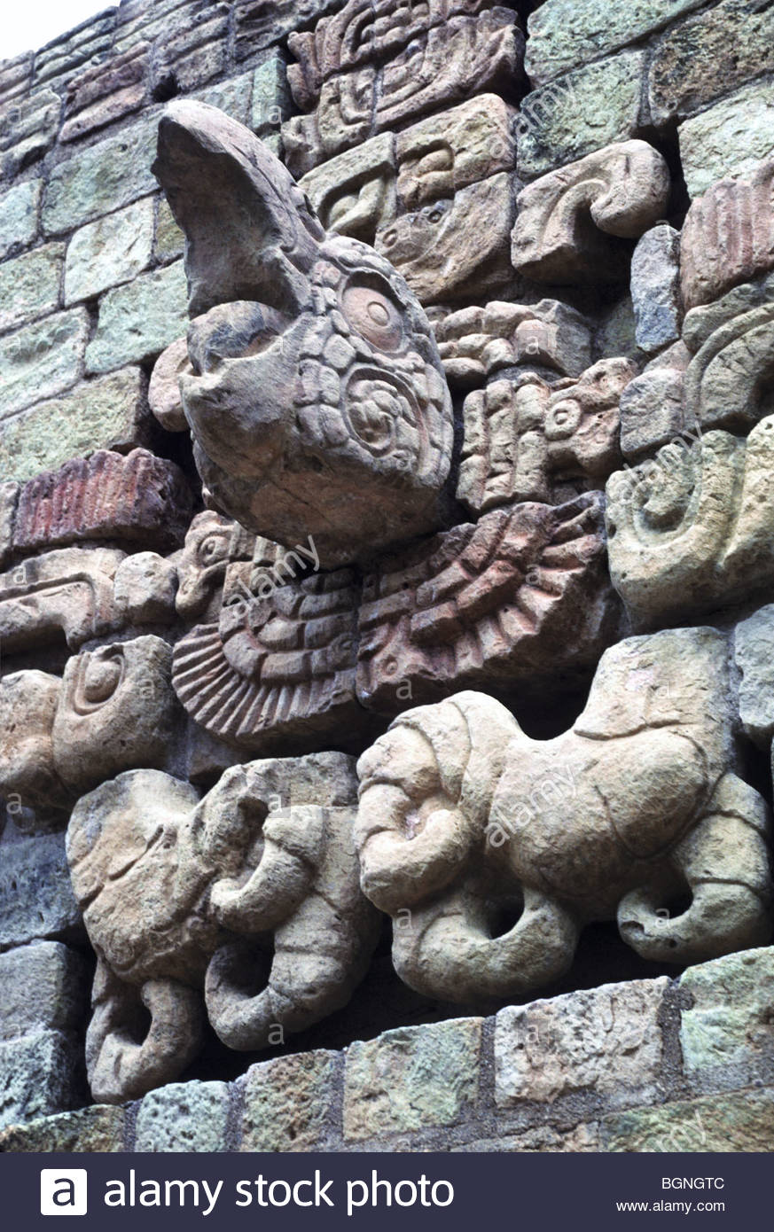 Mayan Eagle Stock Photos & Mayan Eagle Stock Images - Alamy